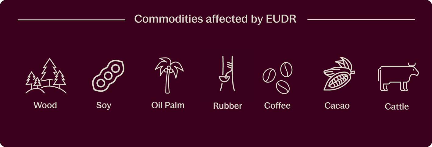 EUDR Regulation: EU Rules for Deforestation-Free Products